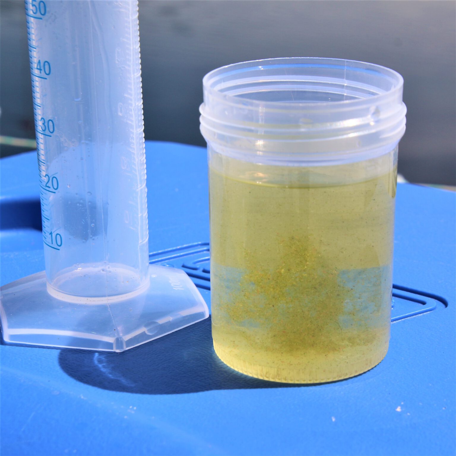 20 OASISS Sierra close-up of sample plankton Photo Credit - Neil ...