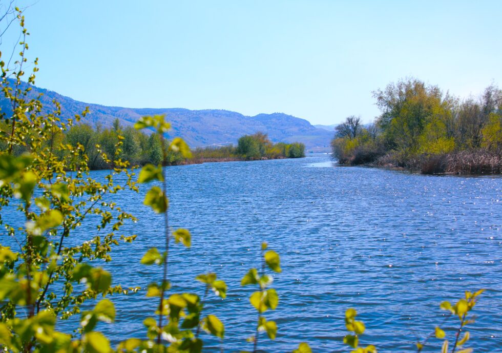 Fourth year of drought means minimal outflows from Okanagan Lake ...